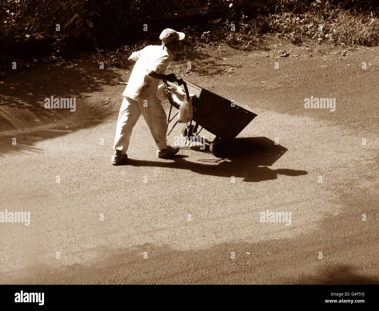 Garbage Collector in India Stock Photo - Alamy