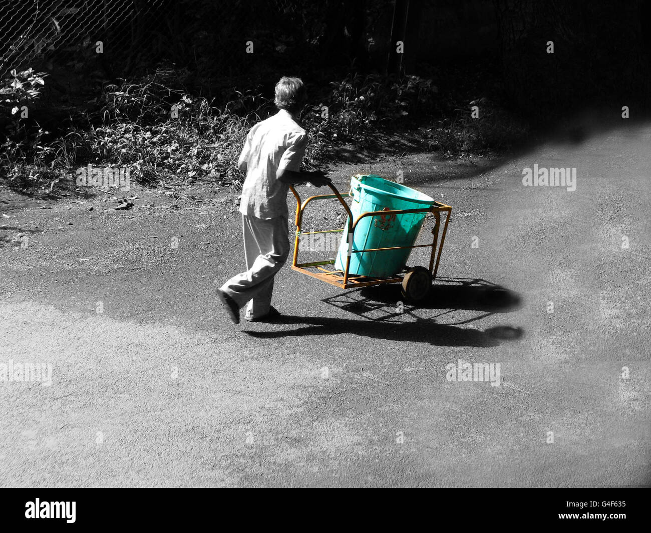 Garbage Collector in India Stock Photo - Alamy