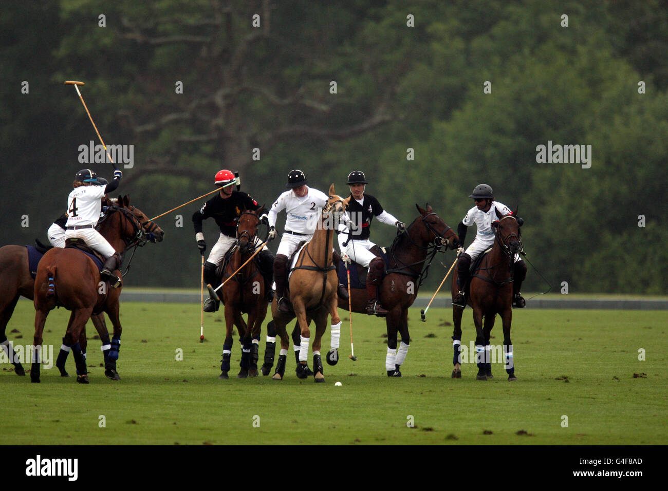 Princes at charity polo match Stock Photo - Alamy