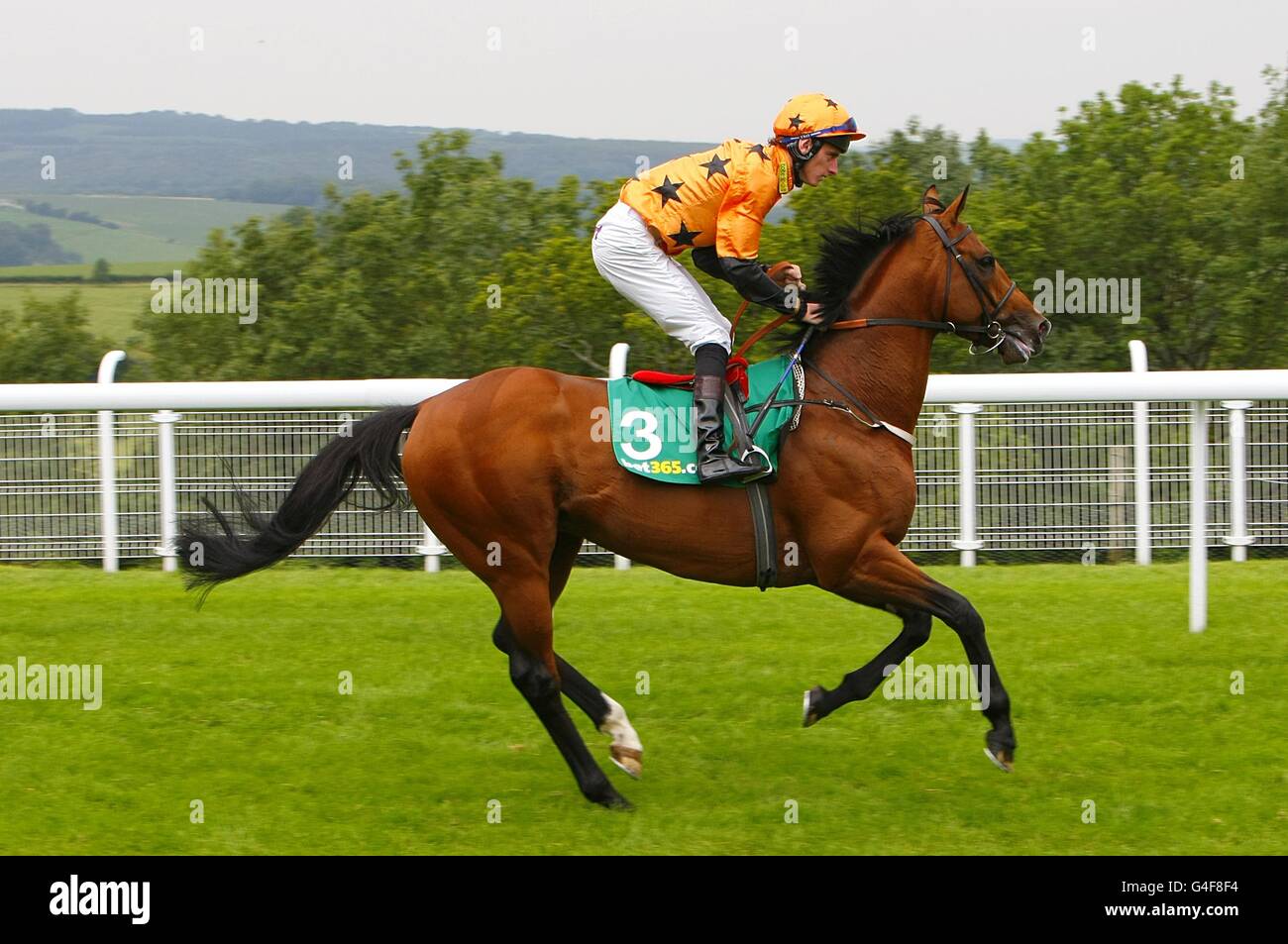 Horse Racing - 2011 Glorious Goodwood Festival - Glorious Sporting ...