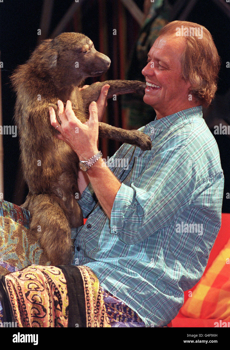 Dead monkey soul hi-res stock photography and images - Alamy