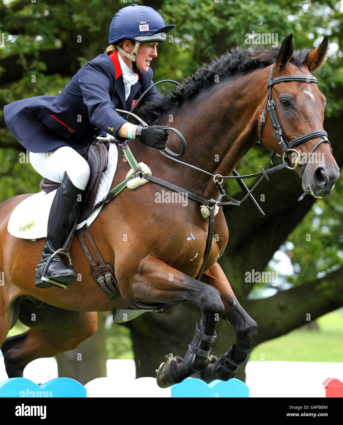 Nicola Wilson on Bee Diplomatic as she takes part in the Show Jumping ...
