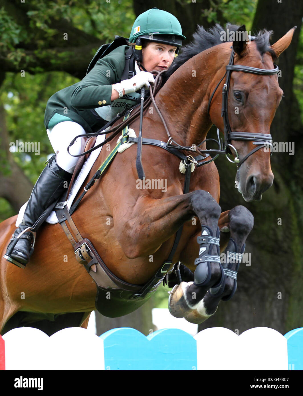 Jane Doherty on Ravenstar as she takes part in the Show Jumping section ...