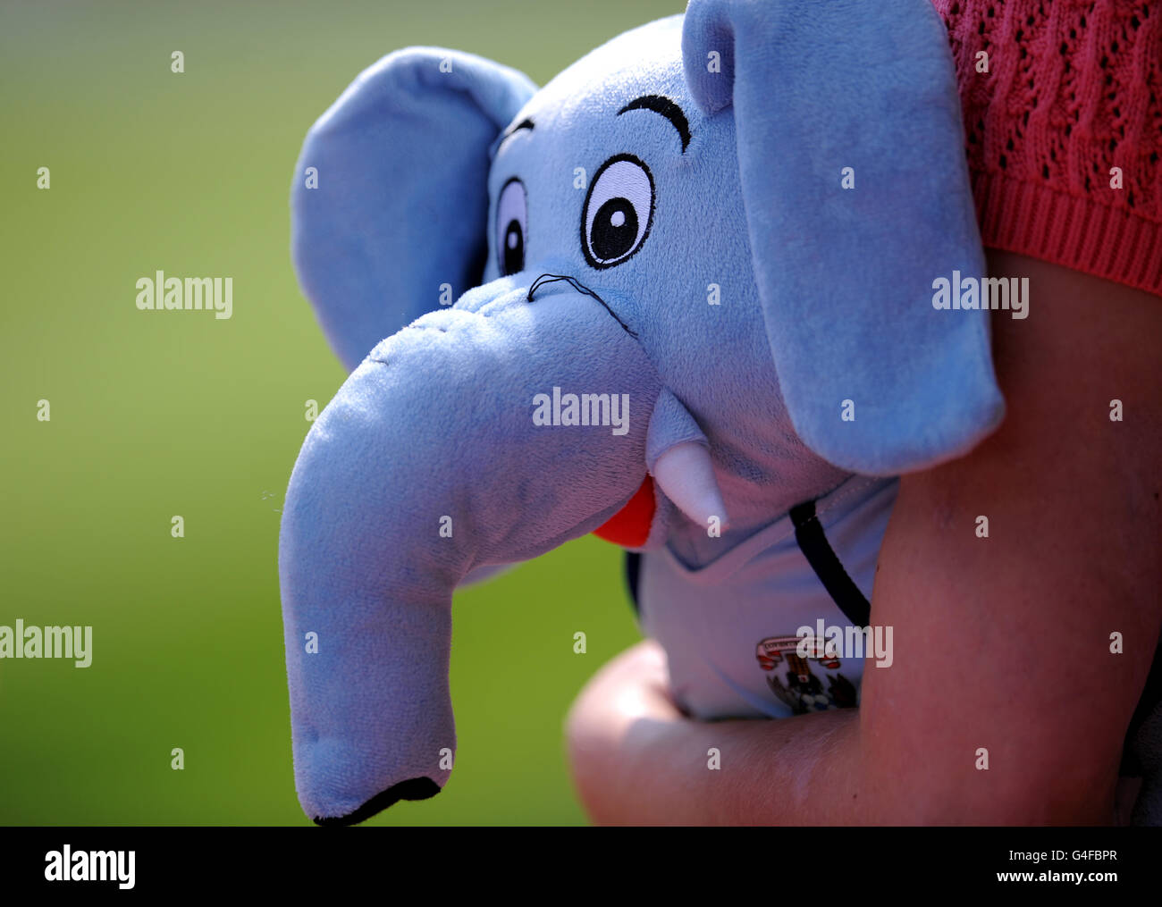 Elephant coventry hi-res stock photography and images - Alamy