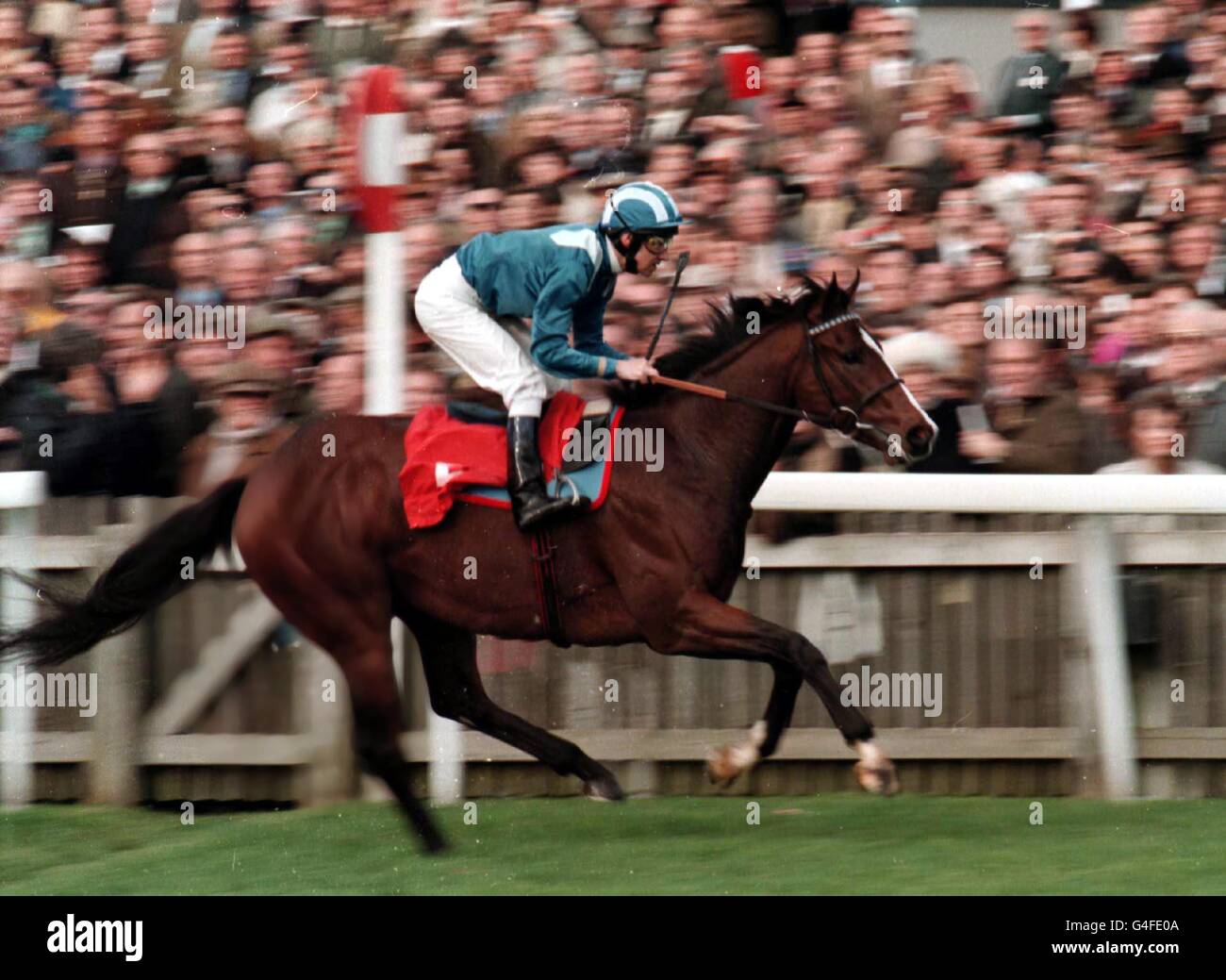 25-1 outsider, Mujahid, ridden by Richard Hills, storms past the ...