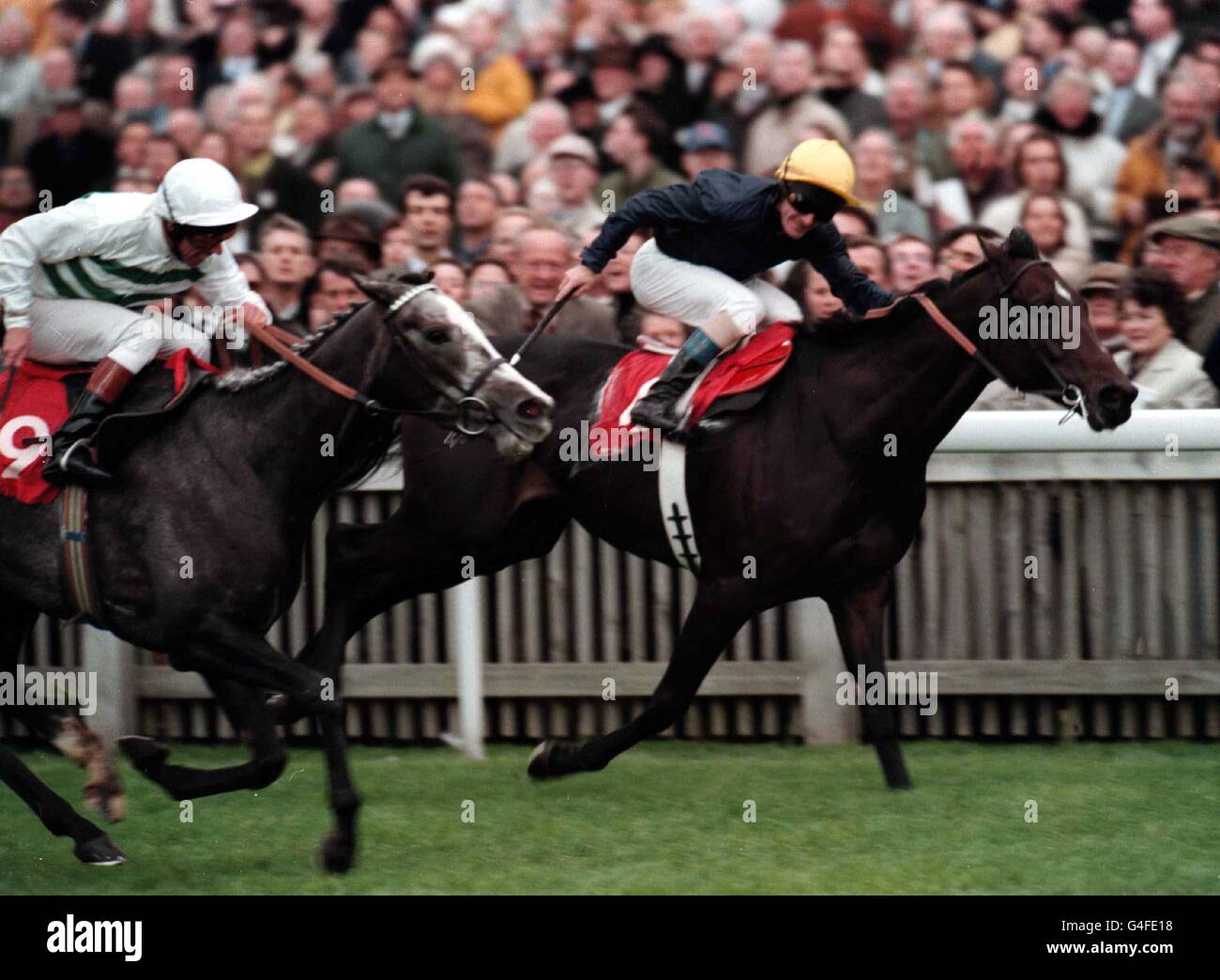 Newmarket george duffield hi-res stock photography and images - Alamy