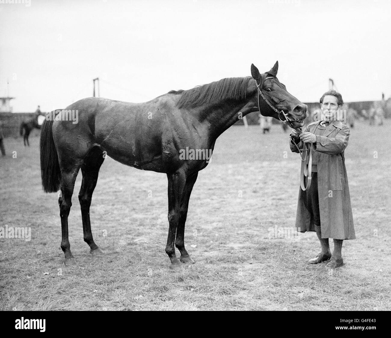 Horse Racing - May Races - Kempton Park Racecourse Stock Photo - Alamy
