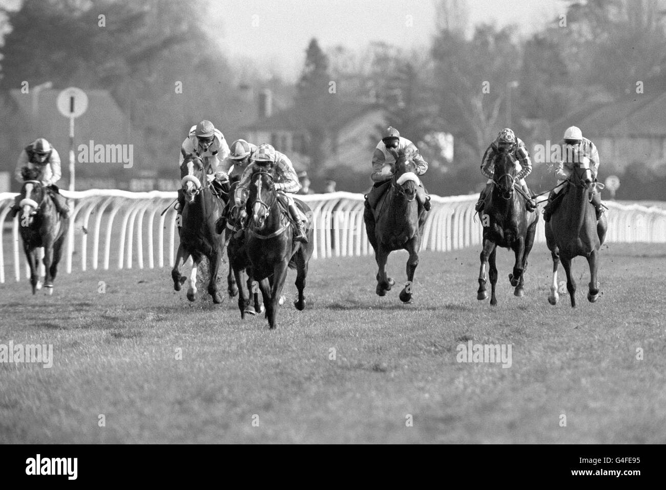 Horse racing full length action Black and White Stock Photos & Images ...