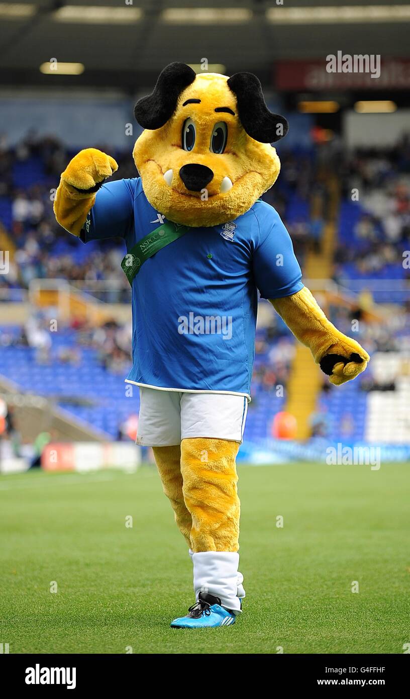 Beau brummie hi-res stock photography and images - Alamy