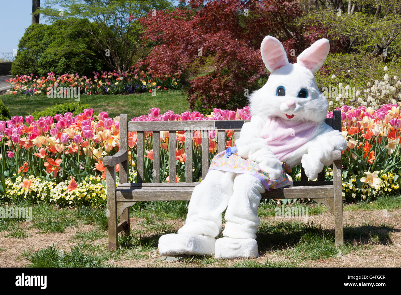 Easter Bunny on a bench Stock Photo - Alamy