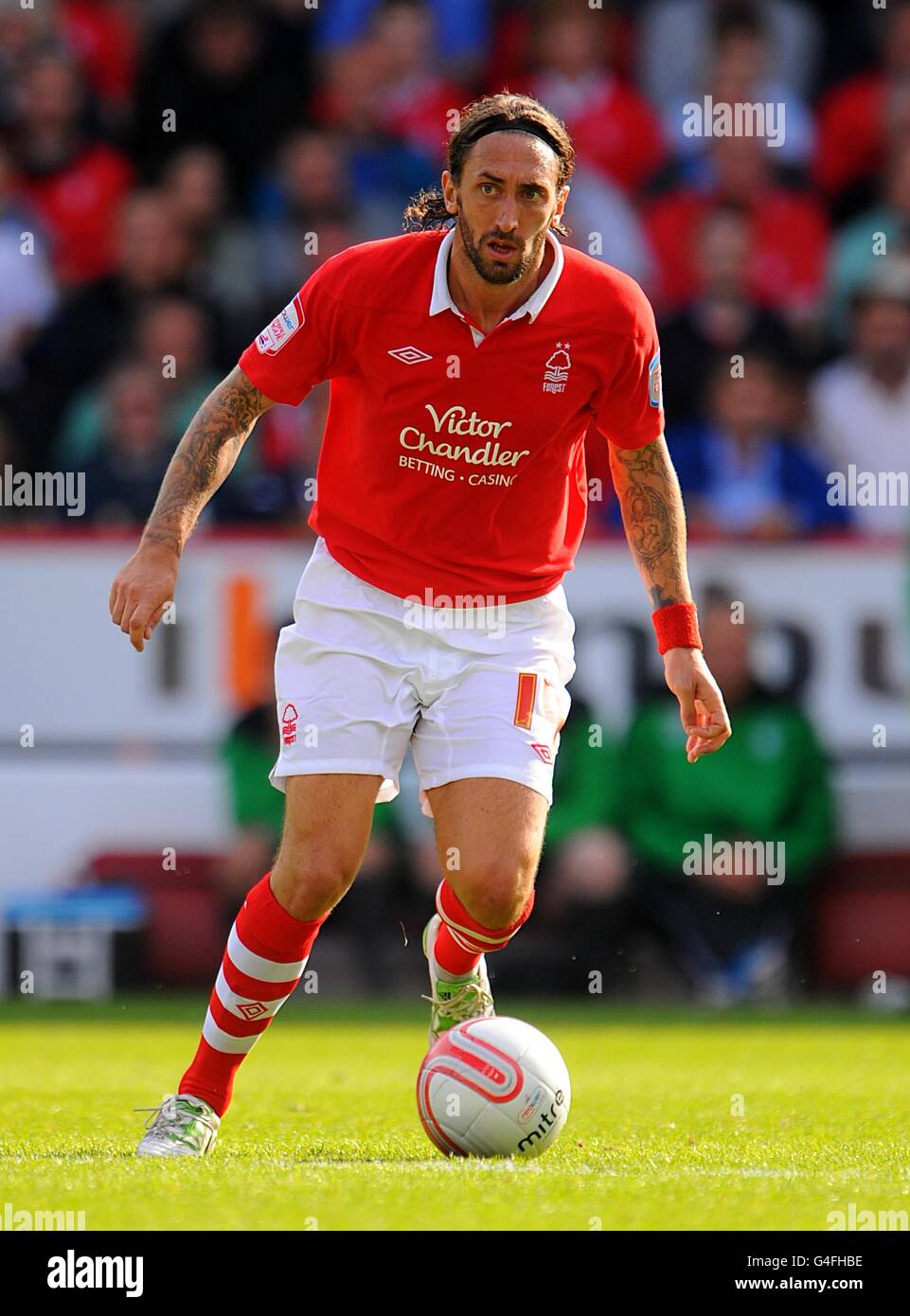 Jonathan greening forest hi-res stock photography and images - Alamy