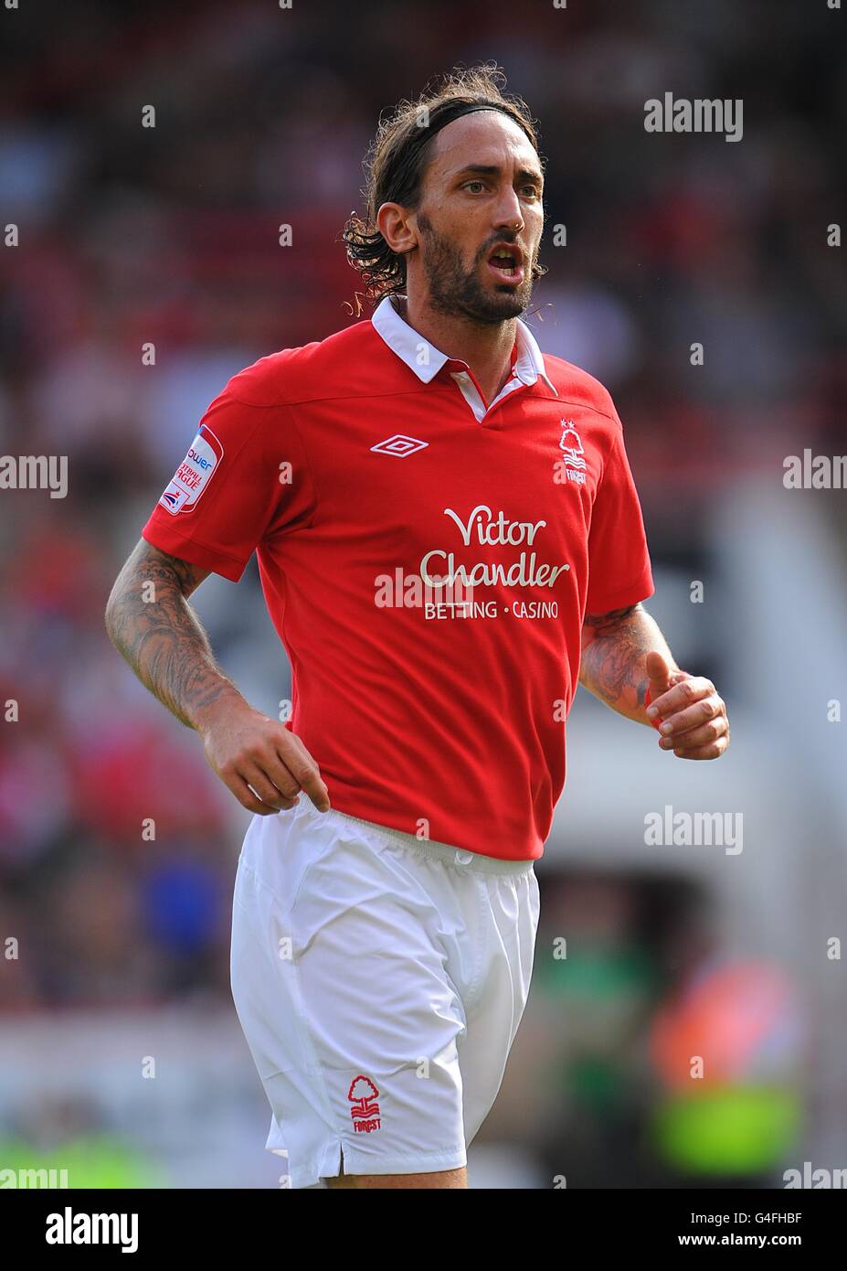 Jonathan greening forest hi-res stock photography and images - Alamy
