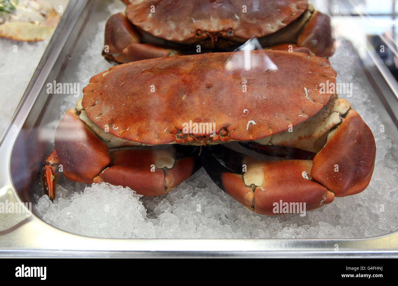 Crabs are seen for sale inside the fish shop 'Fresh From The Sea' in ...
