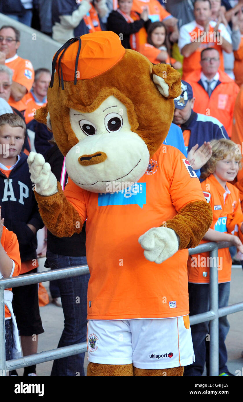 Tango mascot hi-res stock photography and images - Alamy