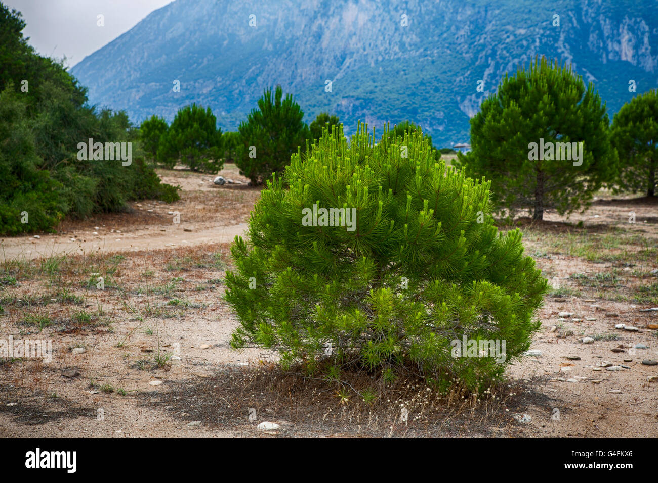Turkish landscape with Olympos mountain, beach with boats and green ...