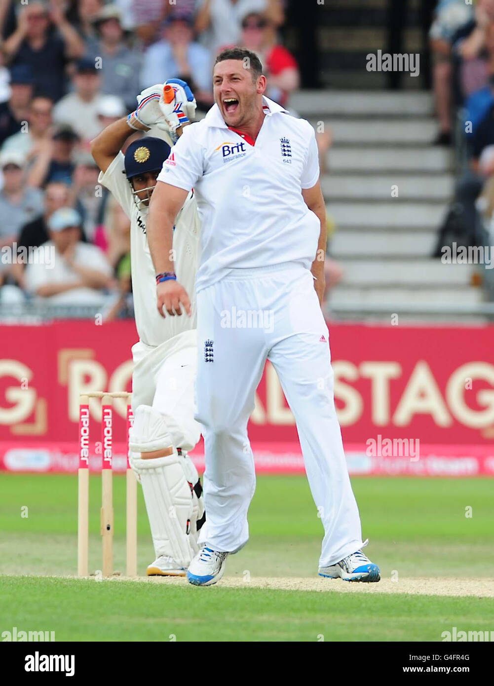 England's Tim Bresnan celebrates after bowling India's MS Dhoni wicket ...