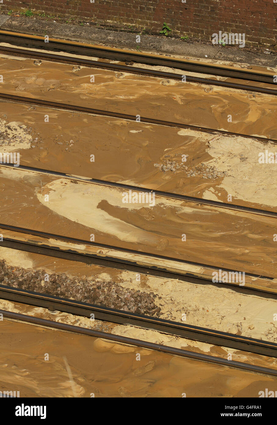 Yui rail hi-res stock photography and images - Alamy