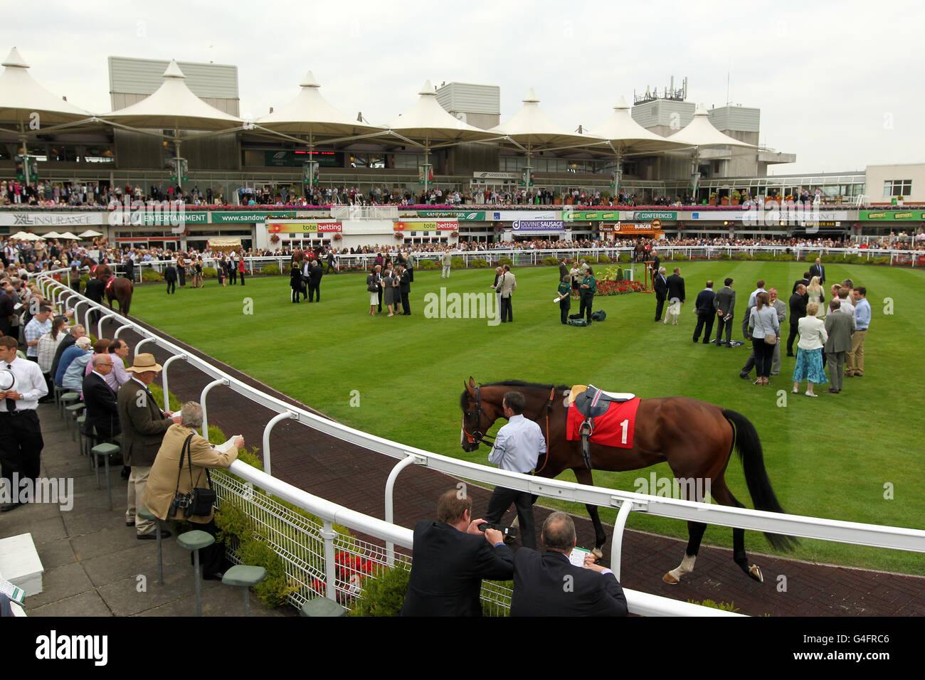 Horse Racing - Tom Jones Music Night - Sandown Park. Horses are walked ...
