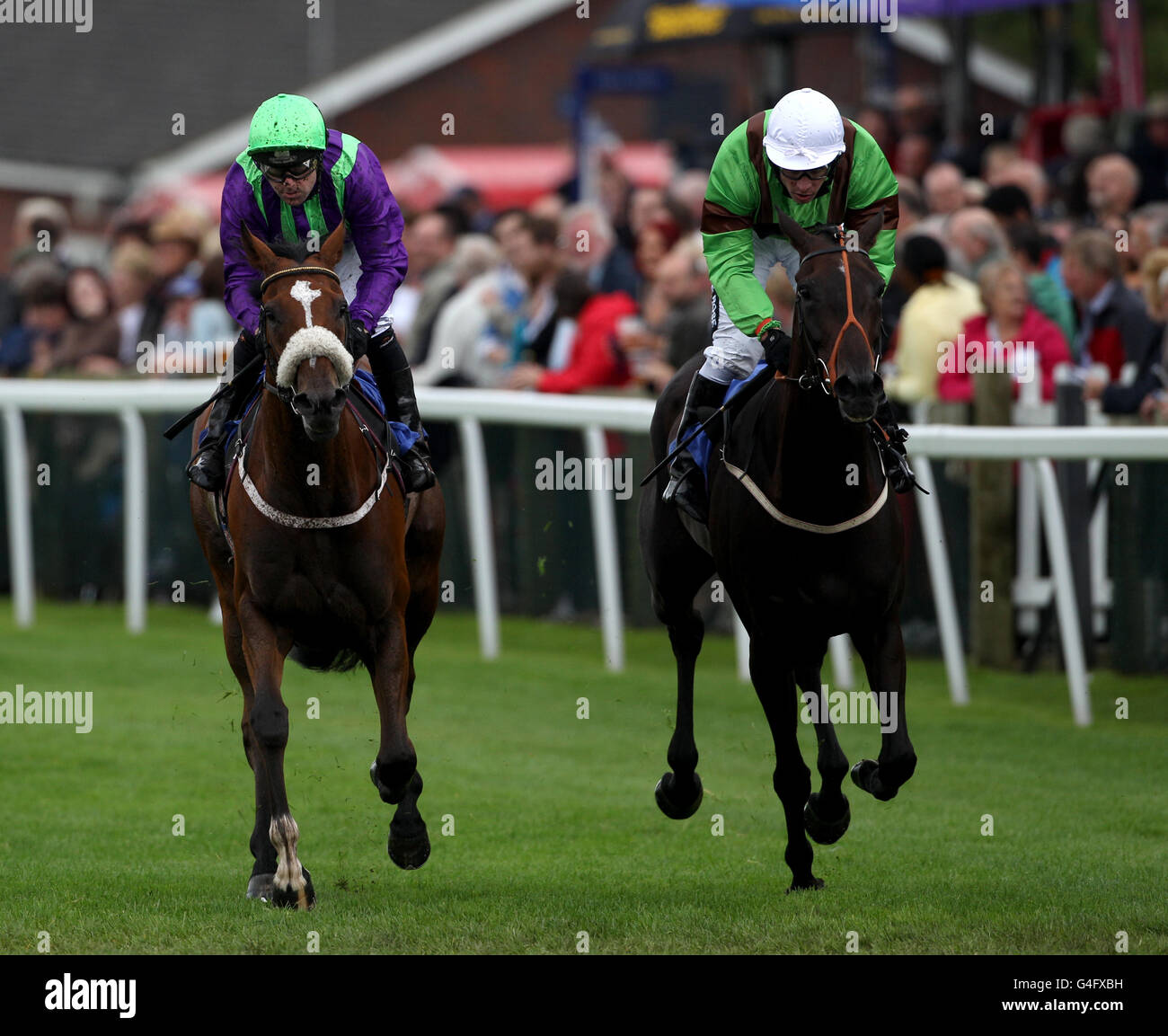 Horse Racing - Beverley Racecourse Stock Photo - Alamy