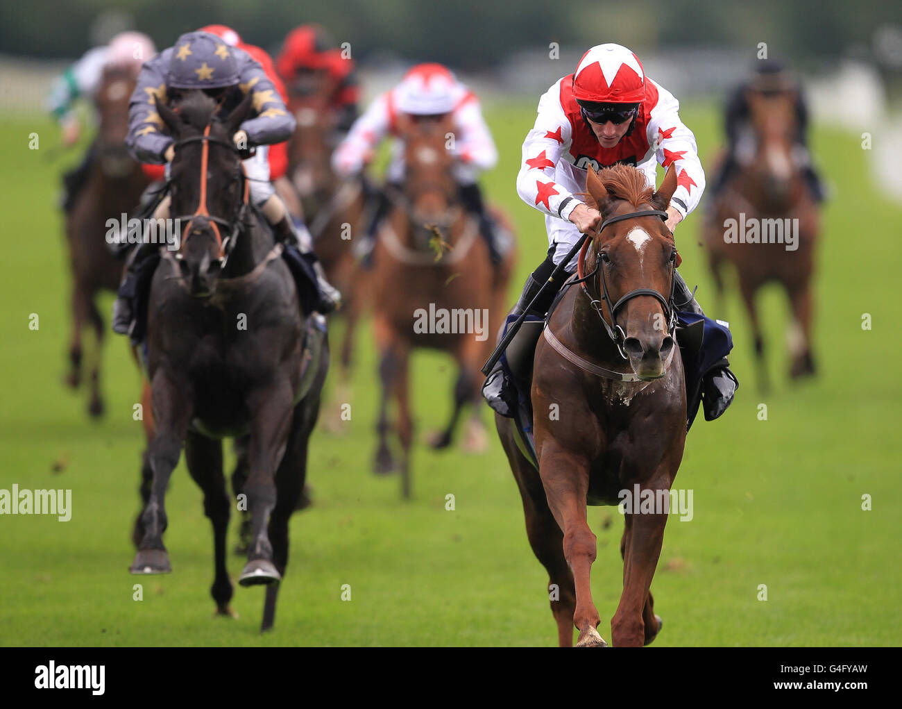 Horse Racing - Ripon Racecourse Stock Photo - Alamy