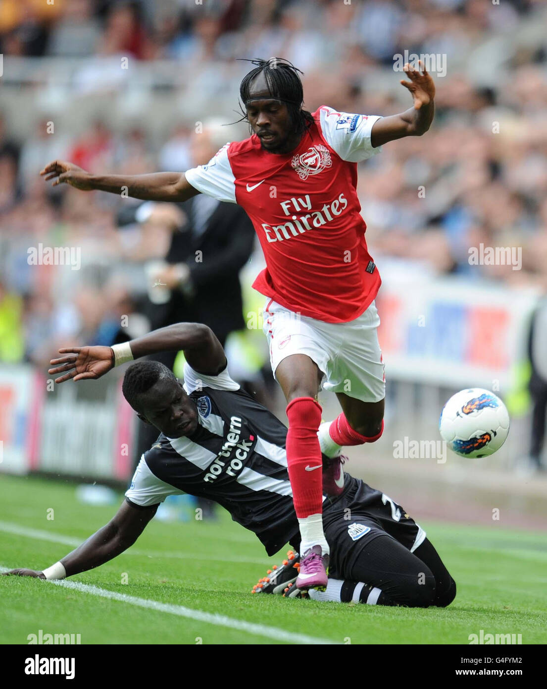Tiote chieck hi-res stock photography and images - Alamy