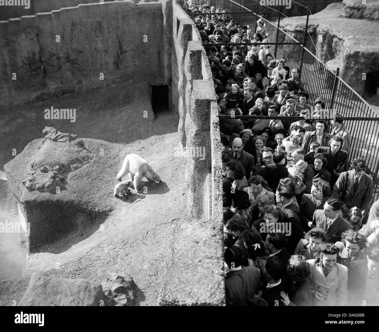 Animals and people Black and White Stock Photos & Images - Alamy