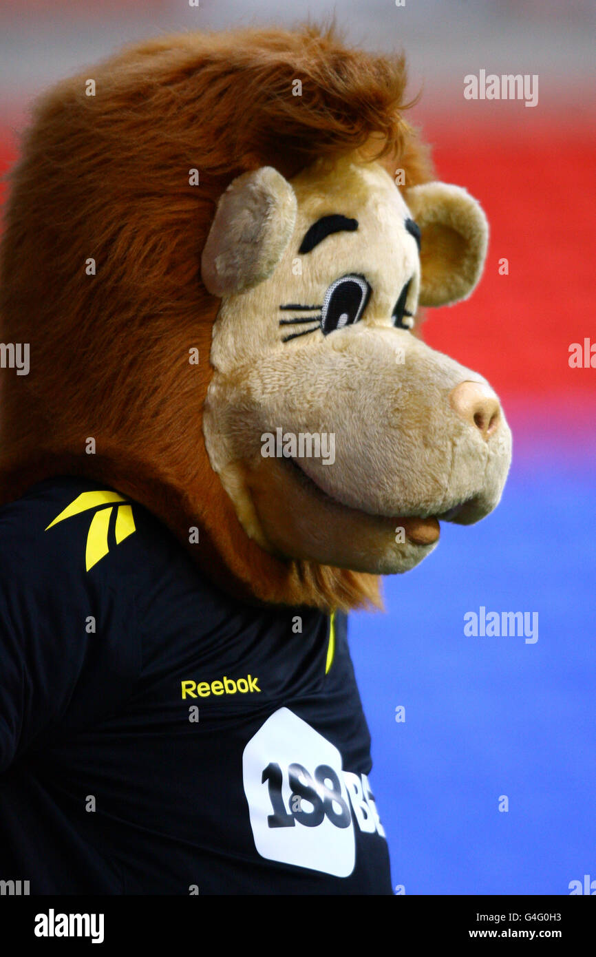 Lofty the lion hi-res stock photography and images - Alamy