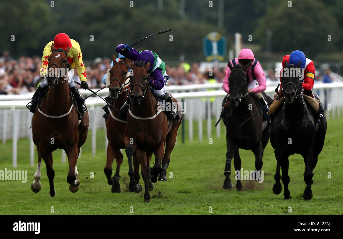 Margot Did (purple cap) ridden by Hayley Turner comes home to win The ...
