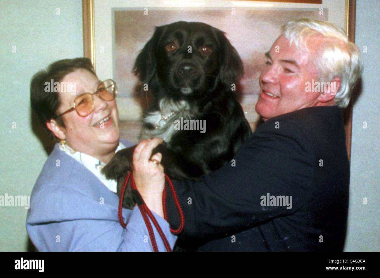 Woofie hi-res stock photography and images - Alamy