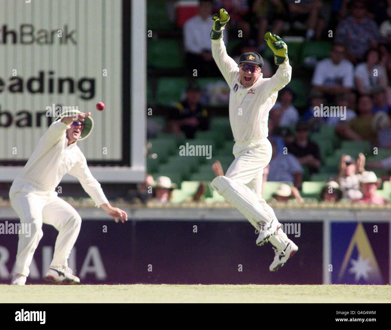 Wicket Keeper Catching Cricket Ball High Resolution Stock Photography ...