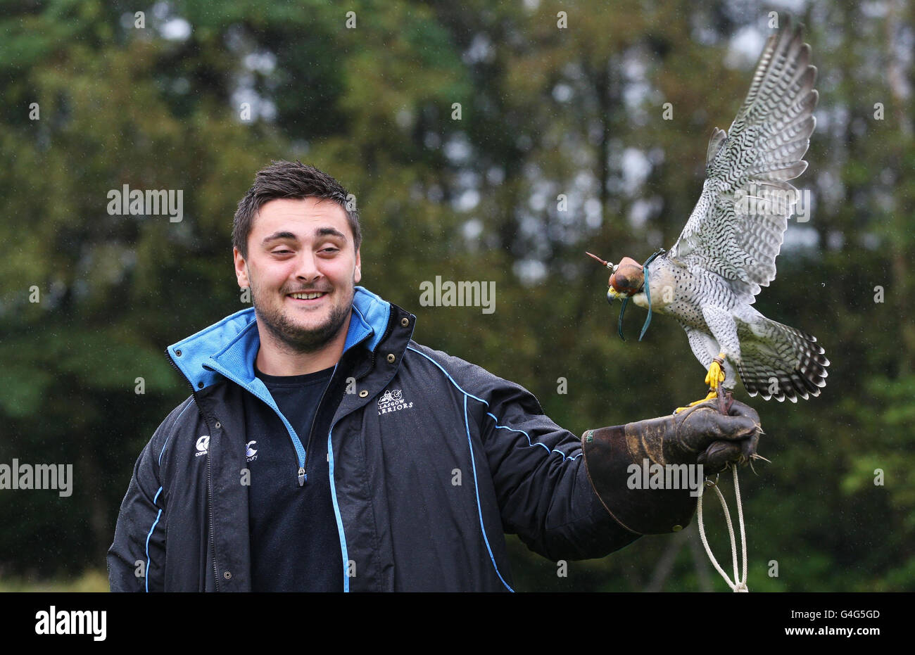 Falconry As A Sport High Resolution Stock Photography and Images - Alamy