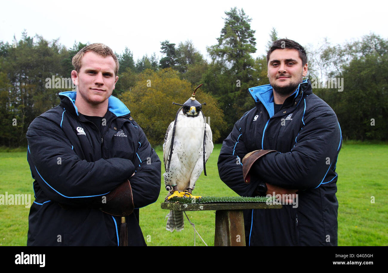 Strathblane falconry hi-res stock photography and images - Alamy