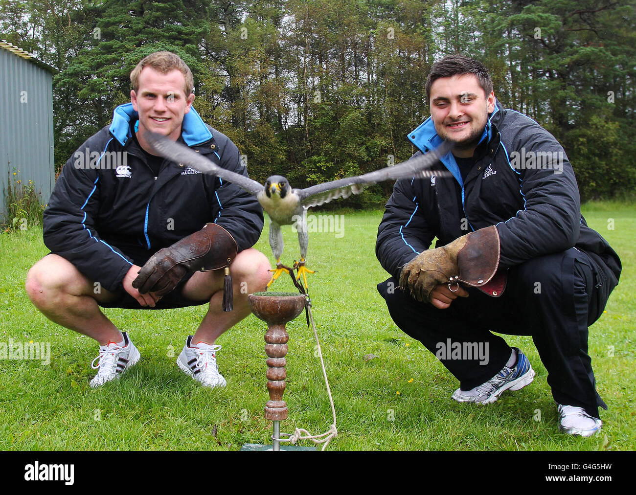Rugby Union - Glasgow Warriors Photocall - Strathblane Falconry Stock ...