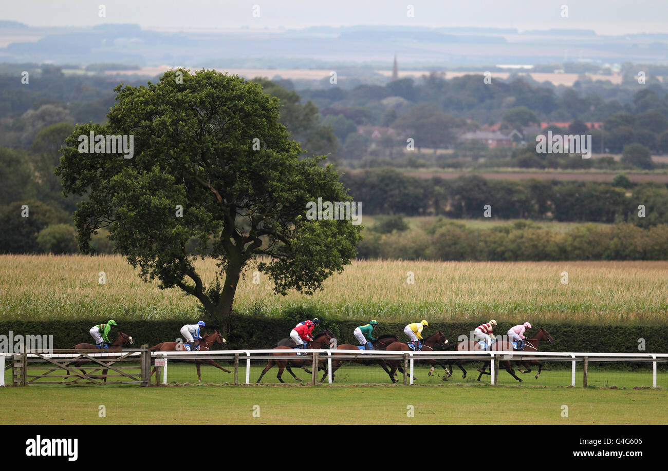 Horse Racing - The Journal Ladies Day - Beverley Racecourse Stock Photo ...