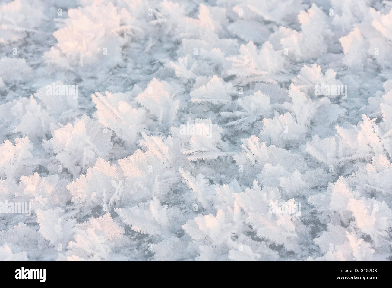 Closeup flake hi-res stock photography and images - Alamy