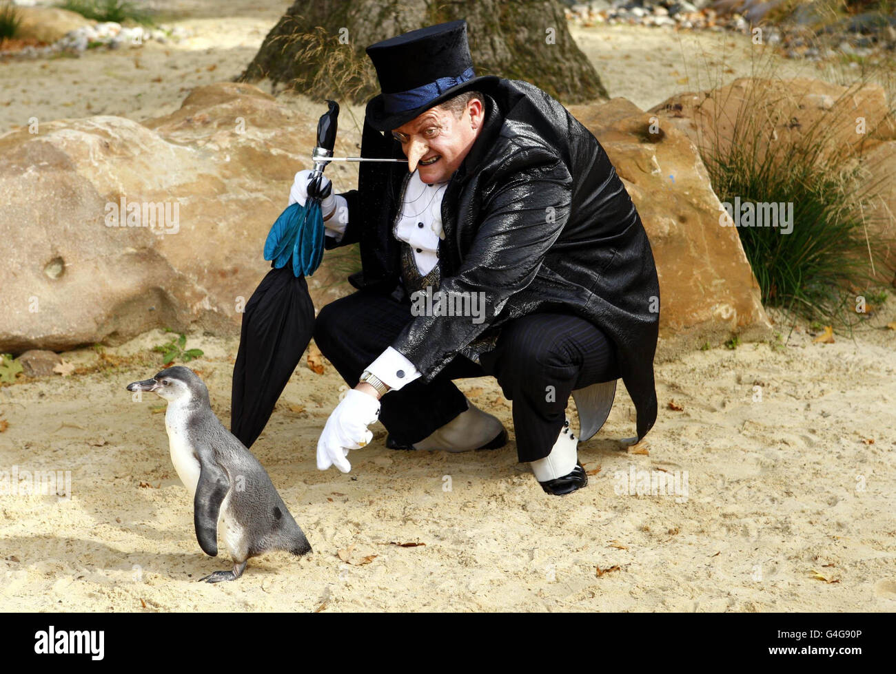 Actor Alex Giannini in character as The Penguin from the Batman live ...