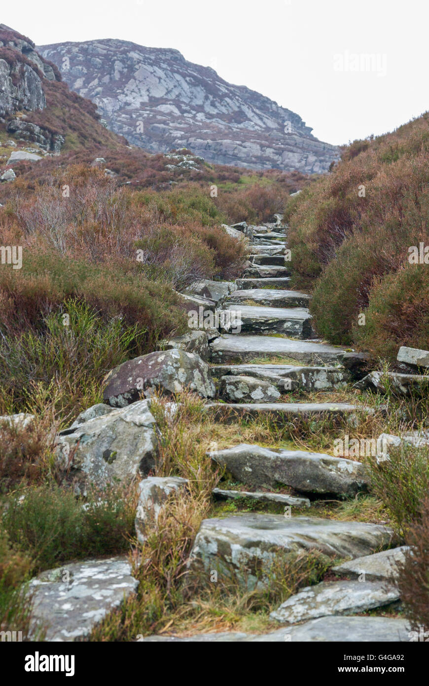 Rhinog mountains hi-res stock photography and images - Alamy