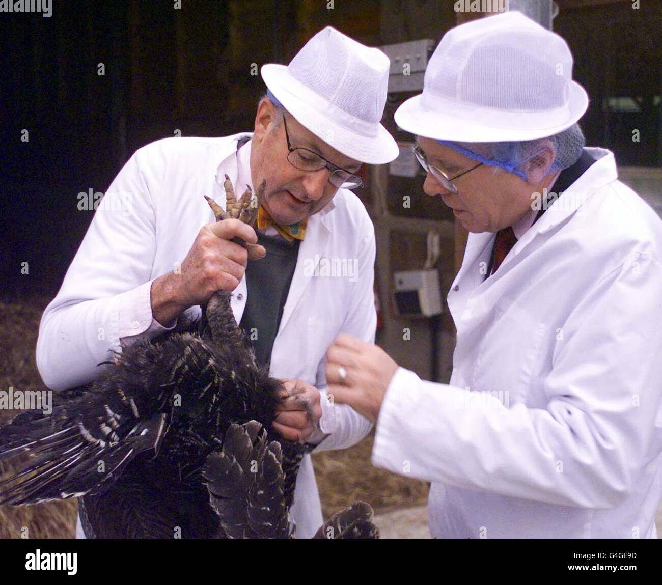 Copas turkey hi-res stock photography and images - Alamy