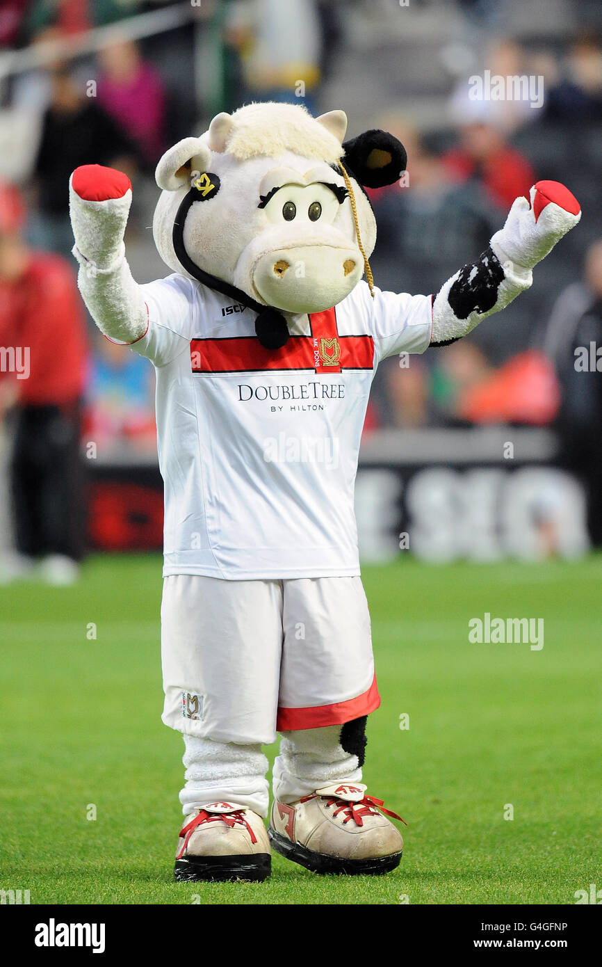 Milton keynes dons mascot hi-res stock photography and images - Alamy