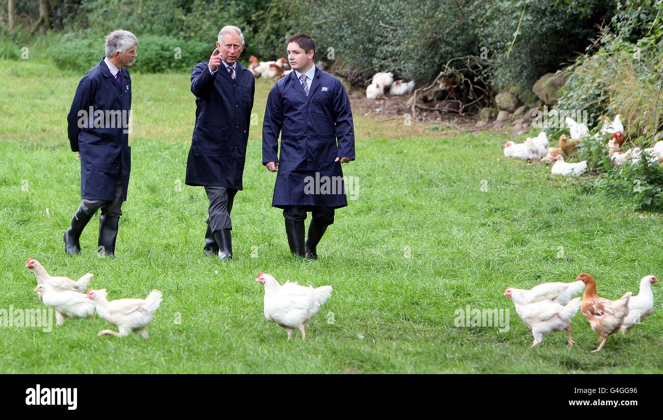 Her son the prince of wales right hi-res stock photography and images ...