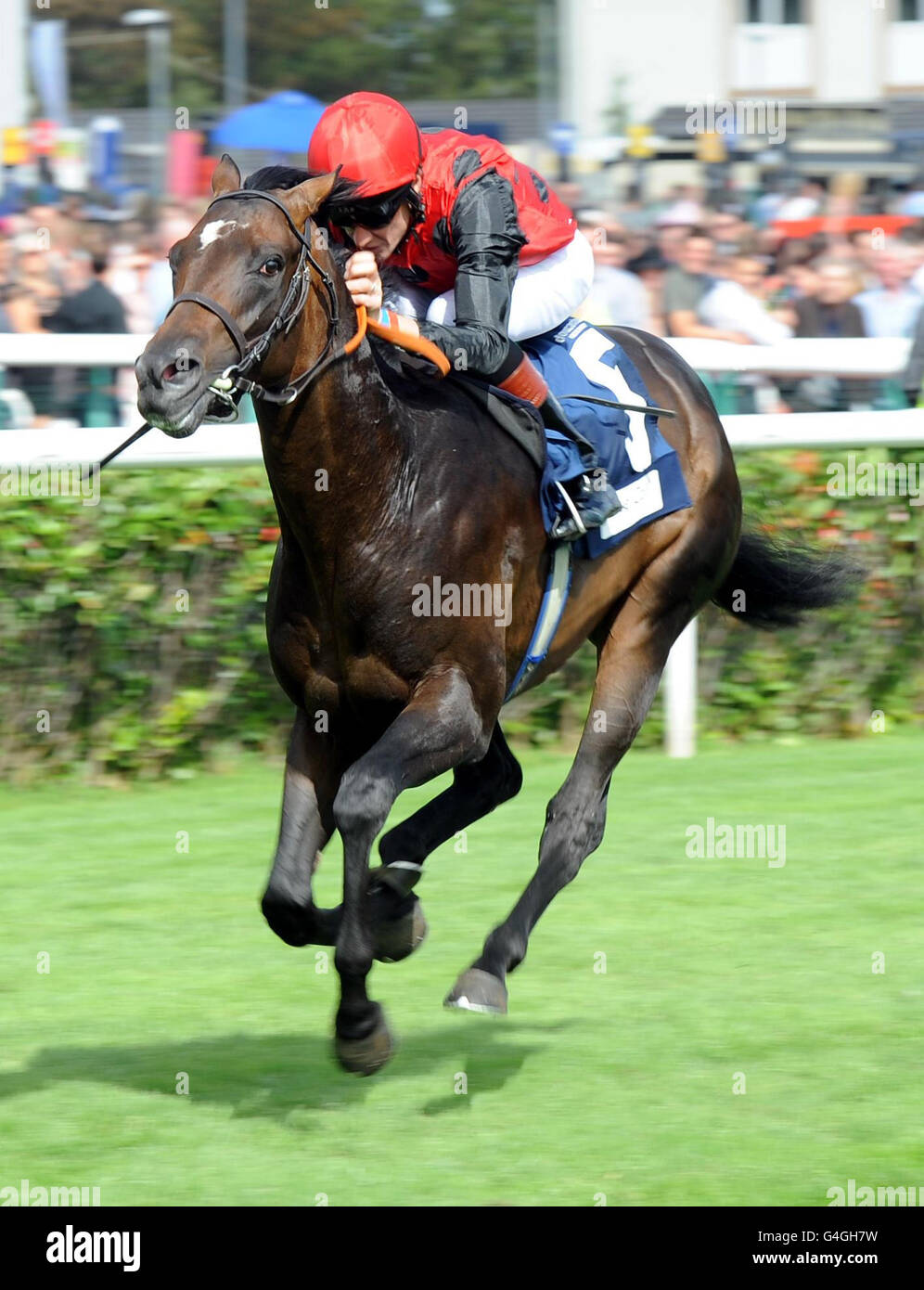 Major hughes hi-res stock photography and images - Alamy