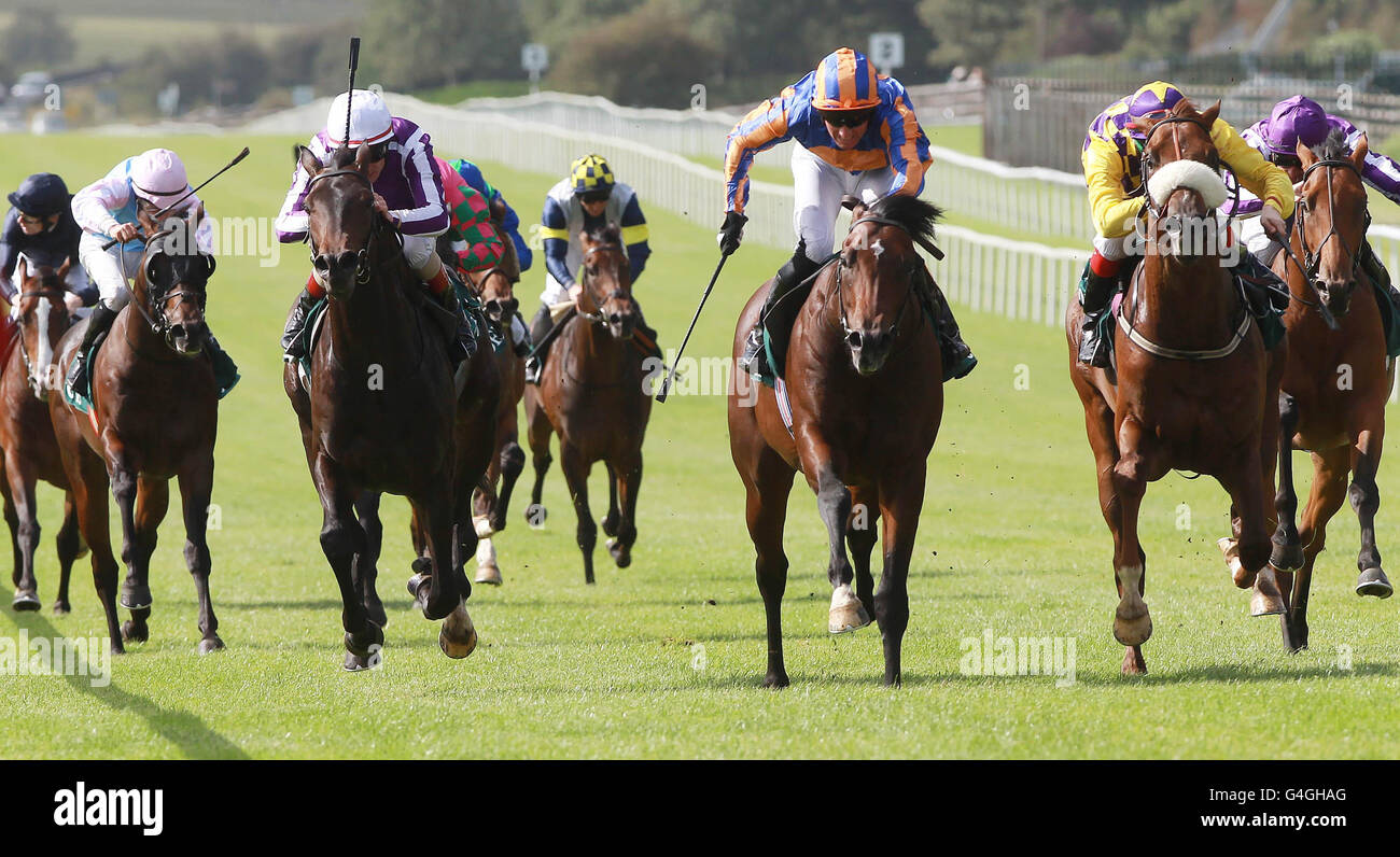 Horse Racing - The Irish Field St. Ledger/Goffs National Stakes ...