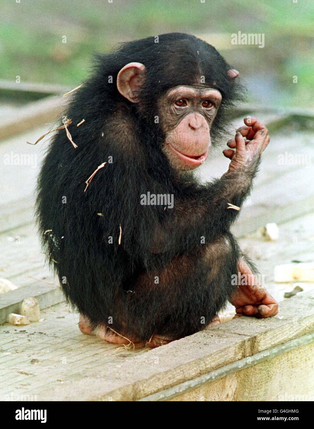 Chipperfield circus hi-res stock photography and images - Alamy