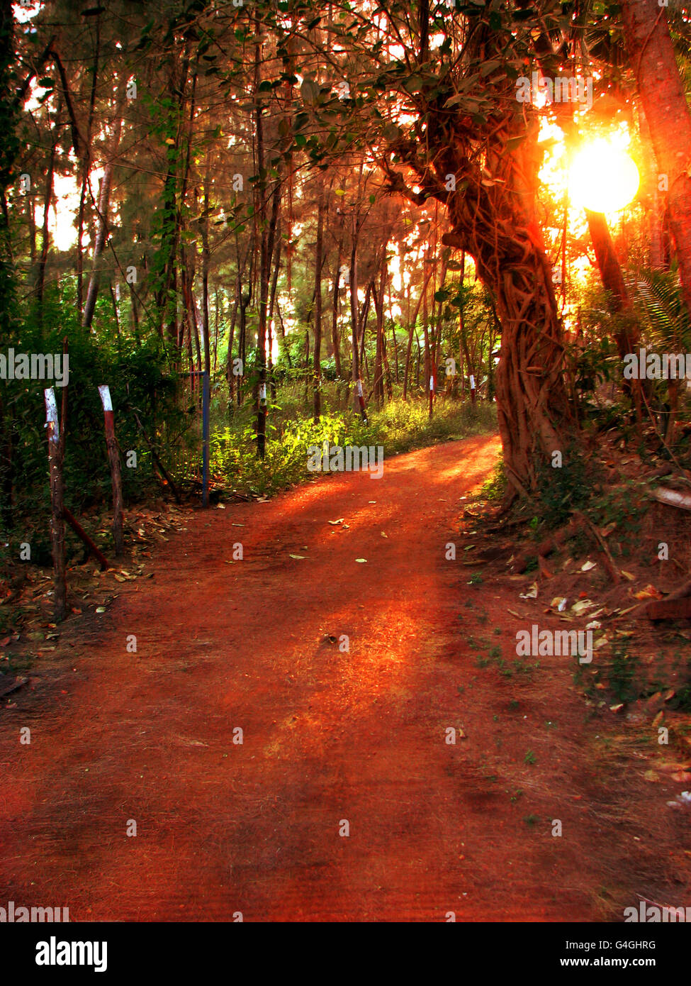 Tropical Sunset Path Stock Photo - Alamy