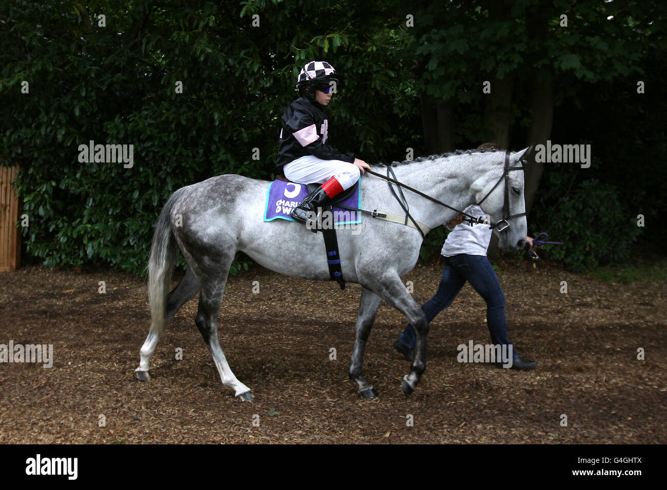 Horse Racing - Variety Club Day - Sandown Park. Jockey Callum Shepherd ...