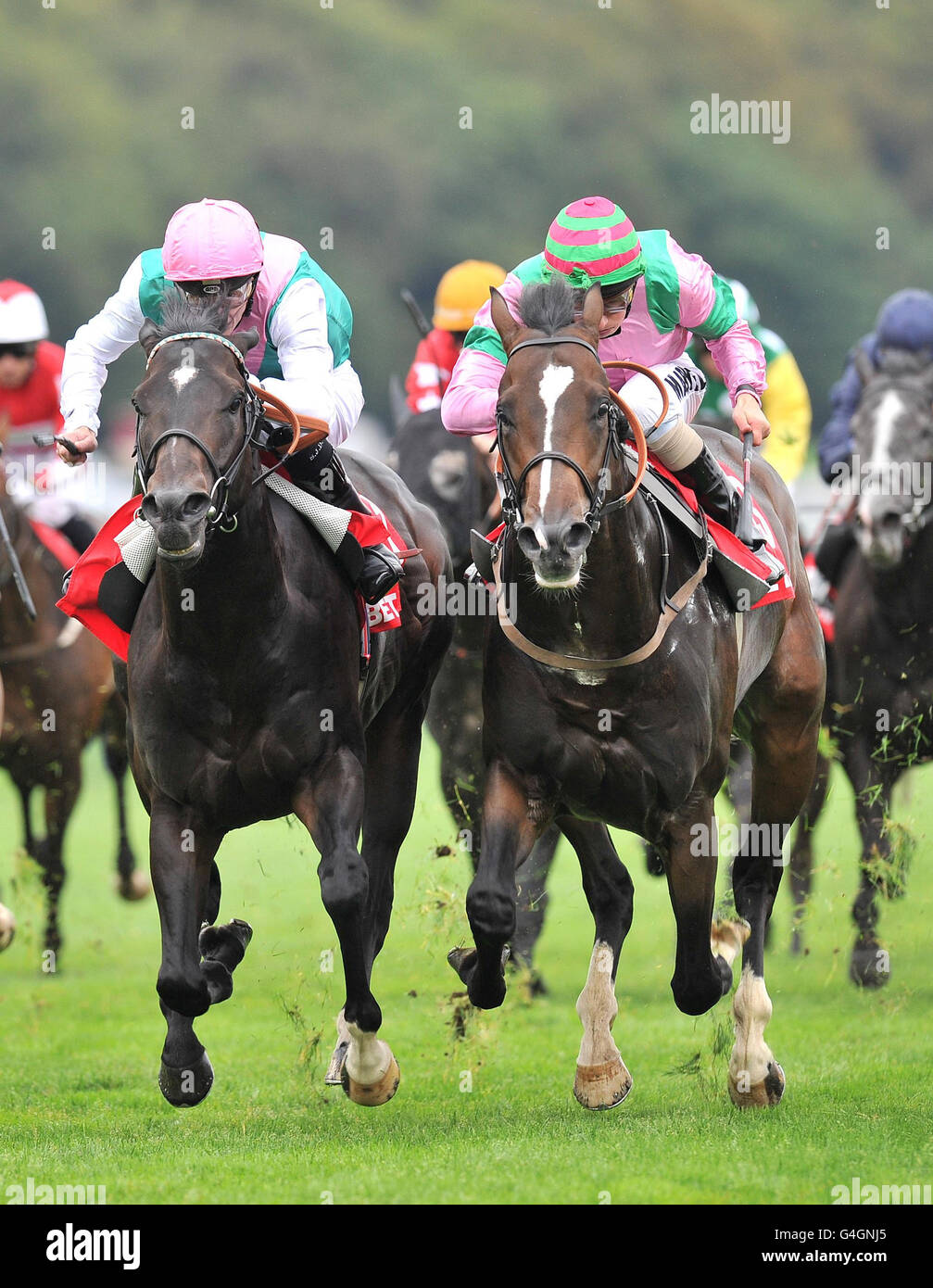 Horse Racing - Betfred Sprint Cup Day - Haydock Park Racecourse Stock ...