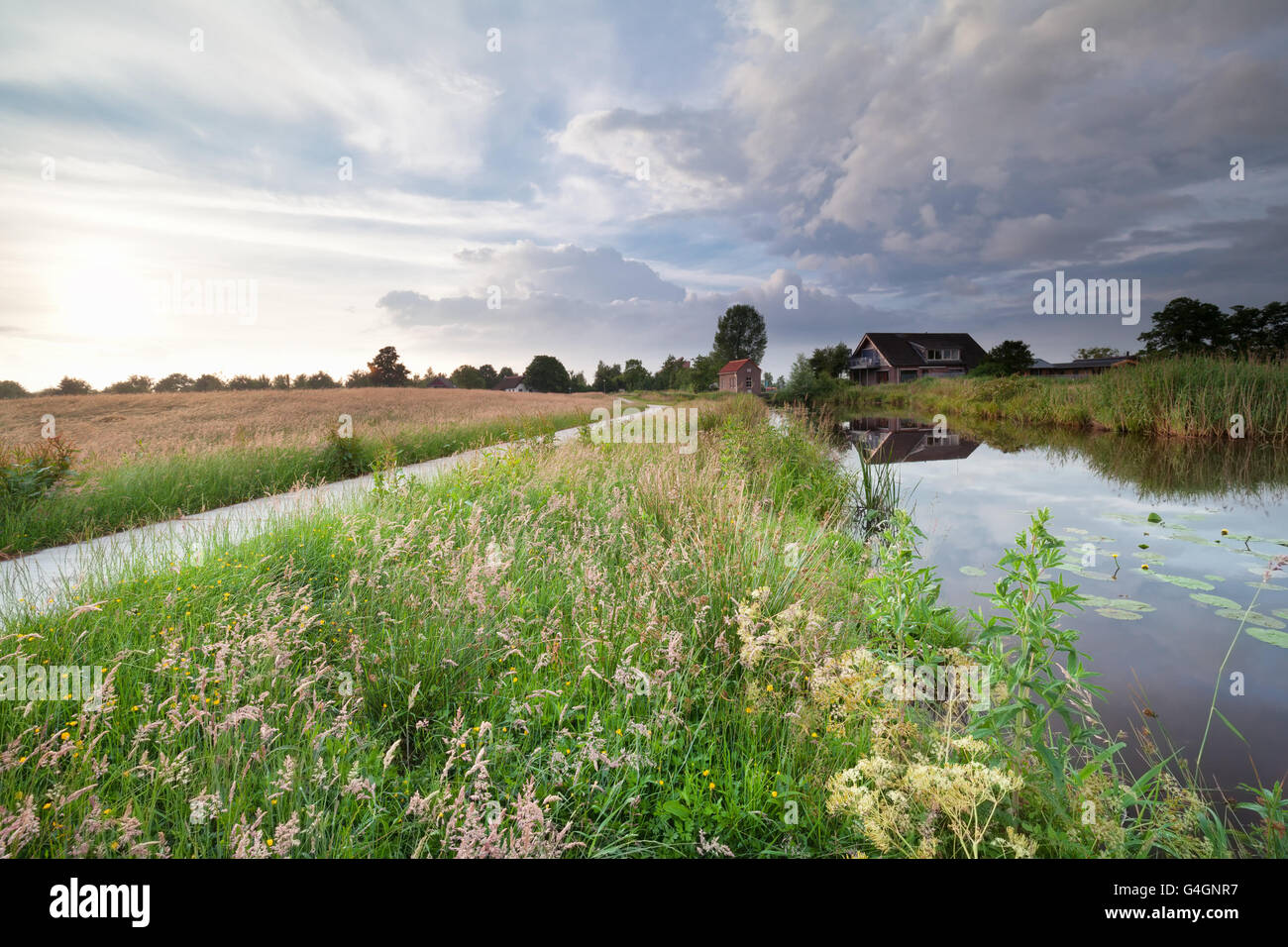 Dutch farmland with canal and summer meadows, Netherlands Stock Photo ...