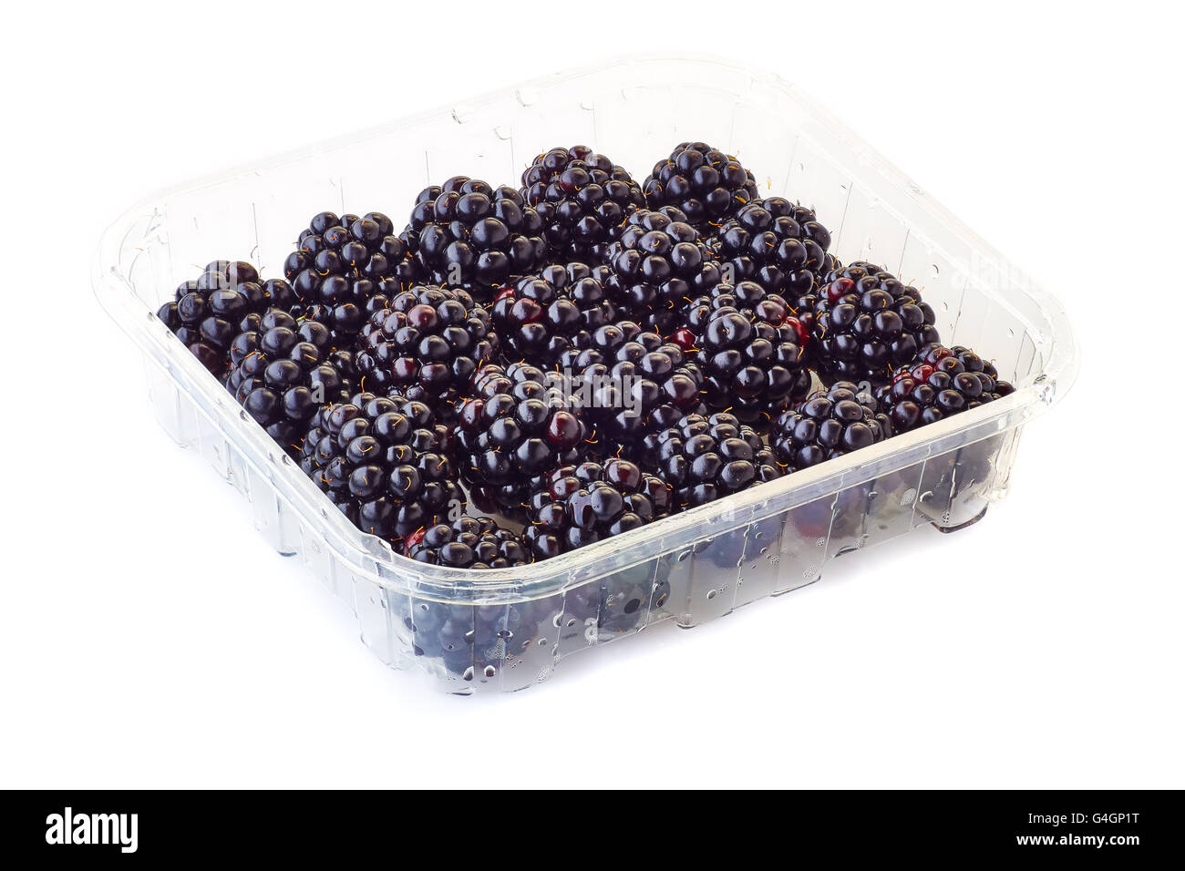 punnet of blackberries on white Stock Photo - Alamy