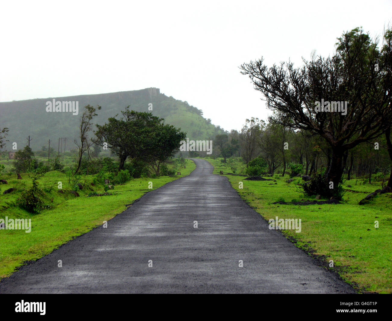 A road in the countryside in India during monsoons Stock Photo - Alamy
