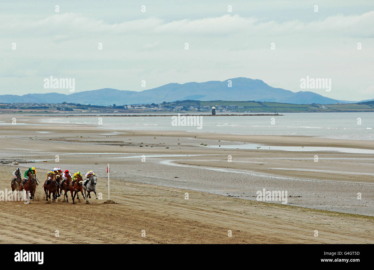 Action from third race during todays meeting at laytown hi-res stock ...